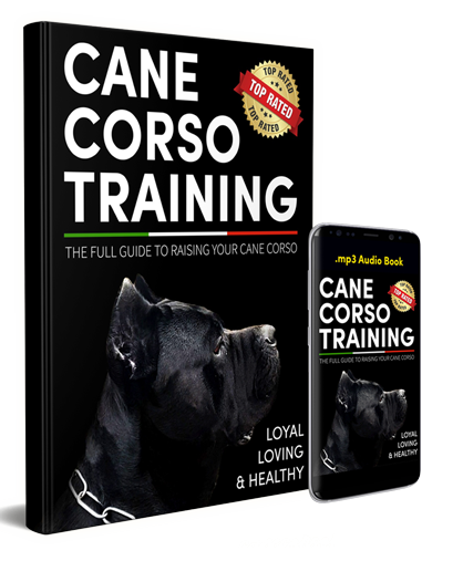 Cane Corso Training Book - Professional Insight and Secrets