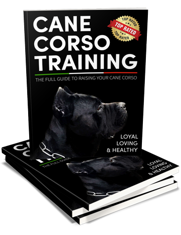 Cane Corso Training Book - Professional Insight and Secrets